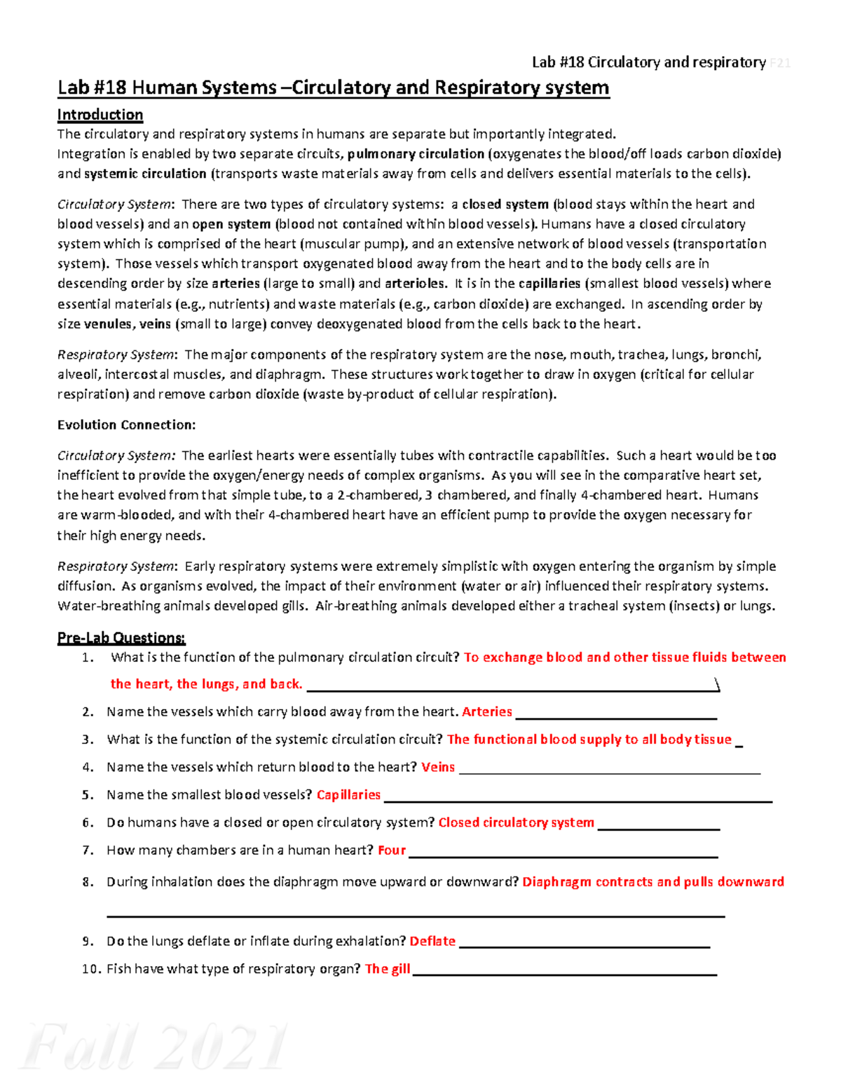Lab #18 Circulatory and respiratory - Lab #18 Human Systems ...