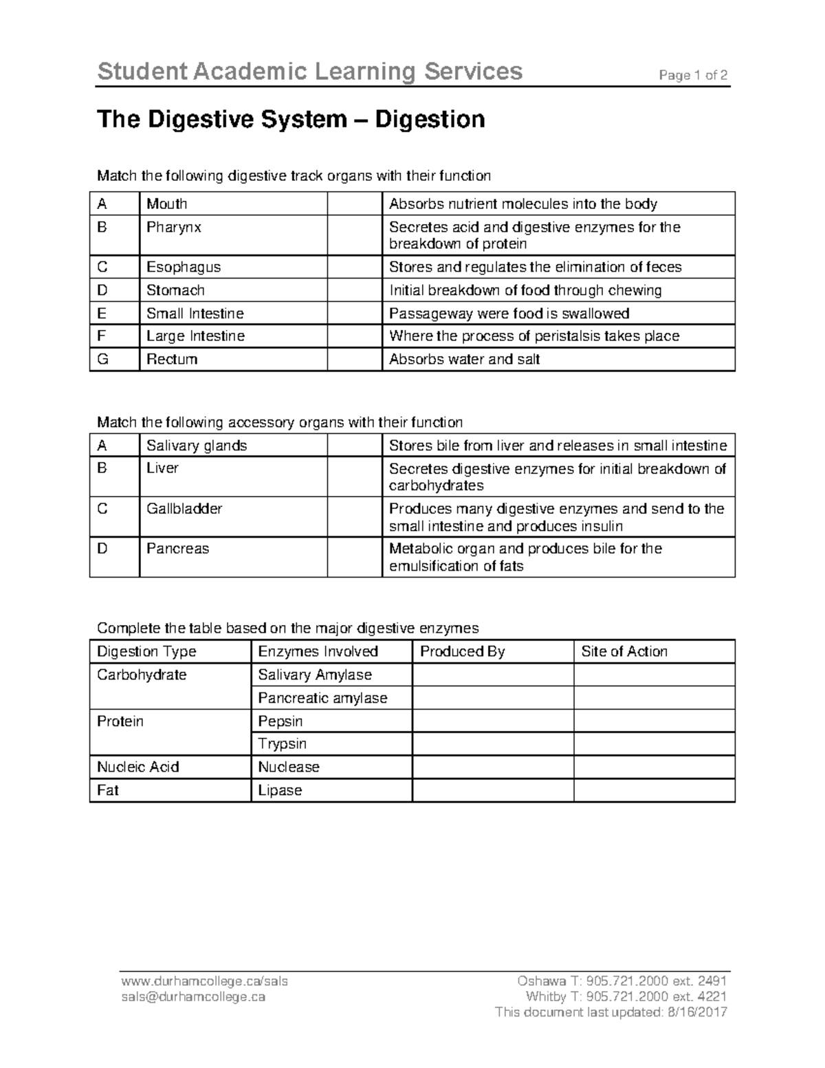 The Digestive System - anatomy - Student Academic Learning Services ...