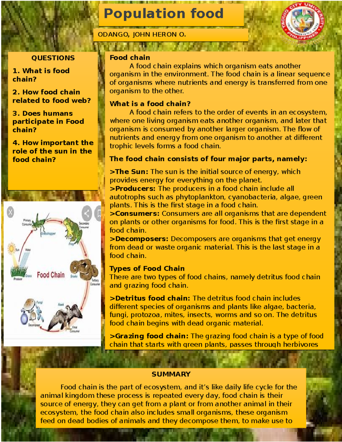 Population Food chain Activity#1 Cornells Notes - Food chain A food ...