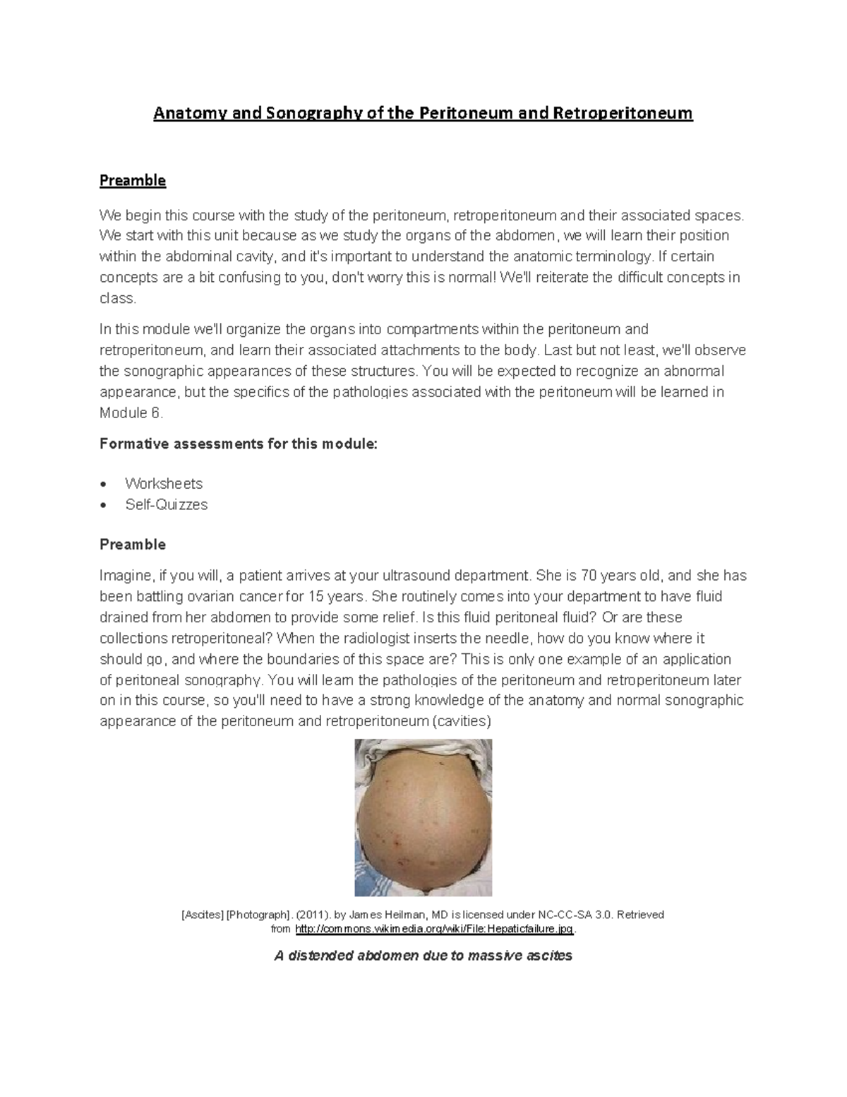 Mod 4 notes - Brent DMS Abdo 1120 Anatomy - Anatomy and Sonography of ...