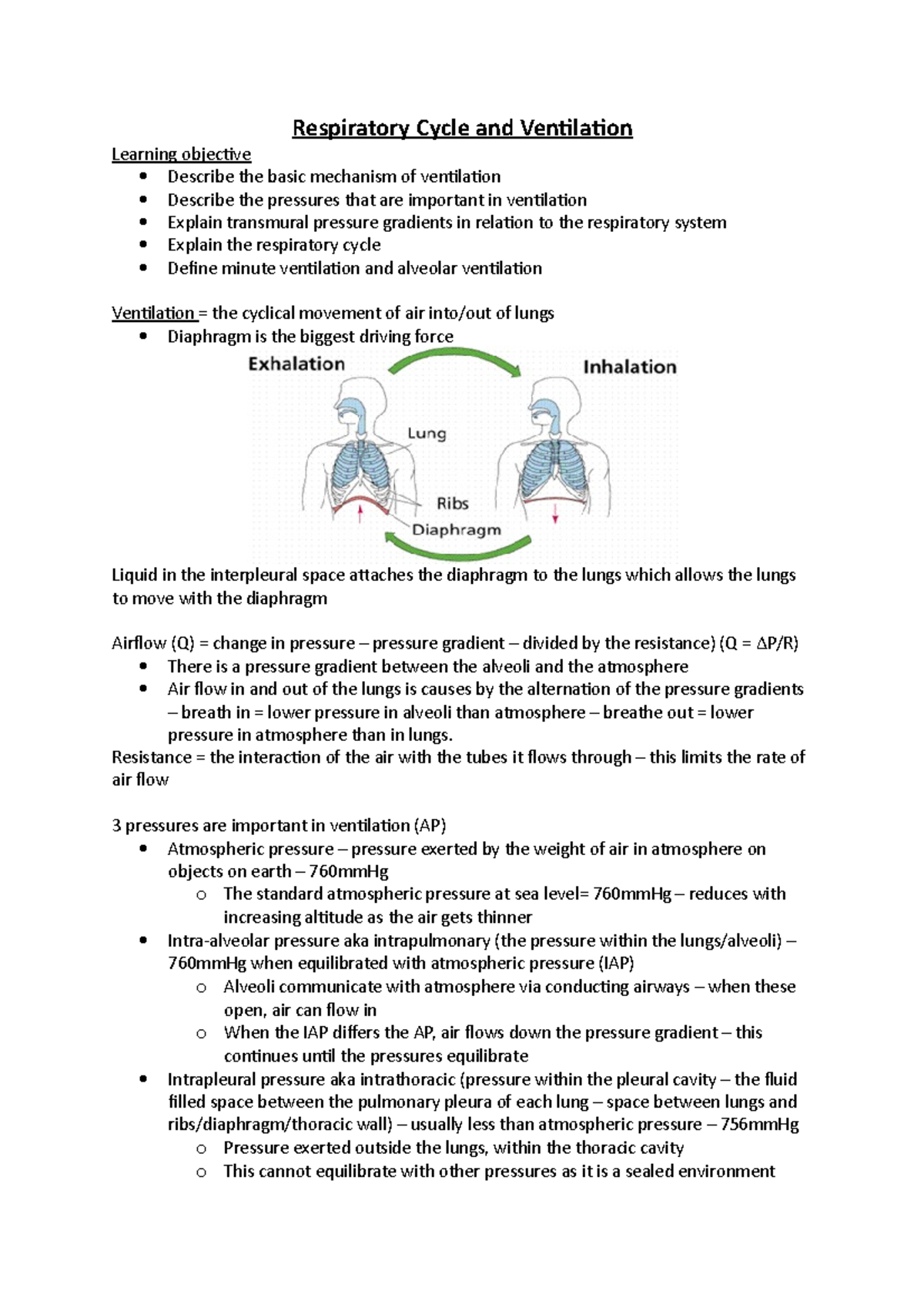 Respiratory Cycle and Ventilation - Lt 17 - Respiratory Cycle and ...
