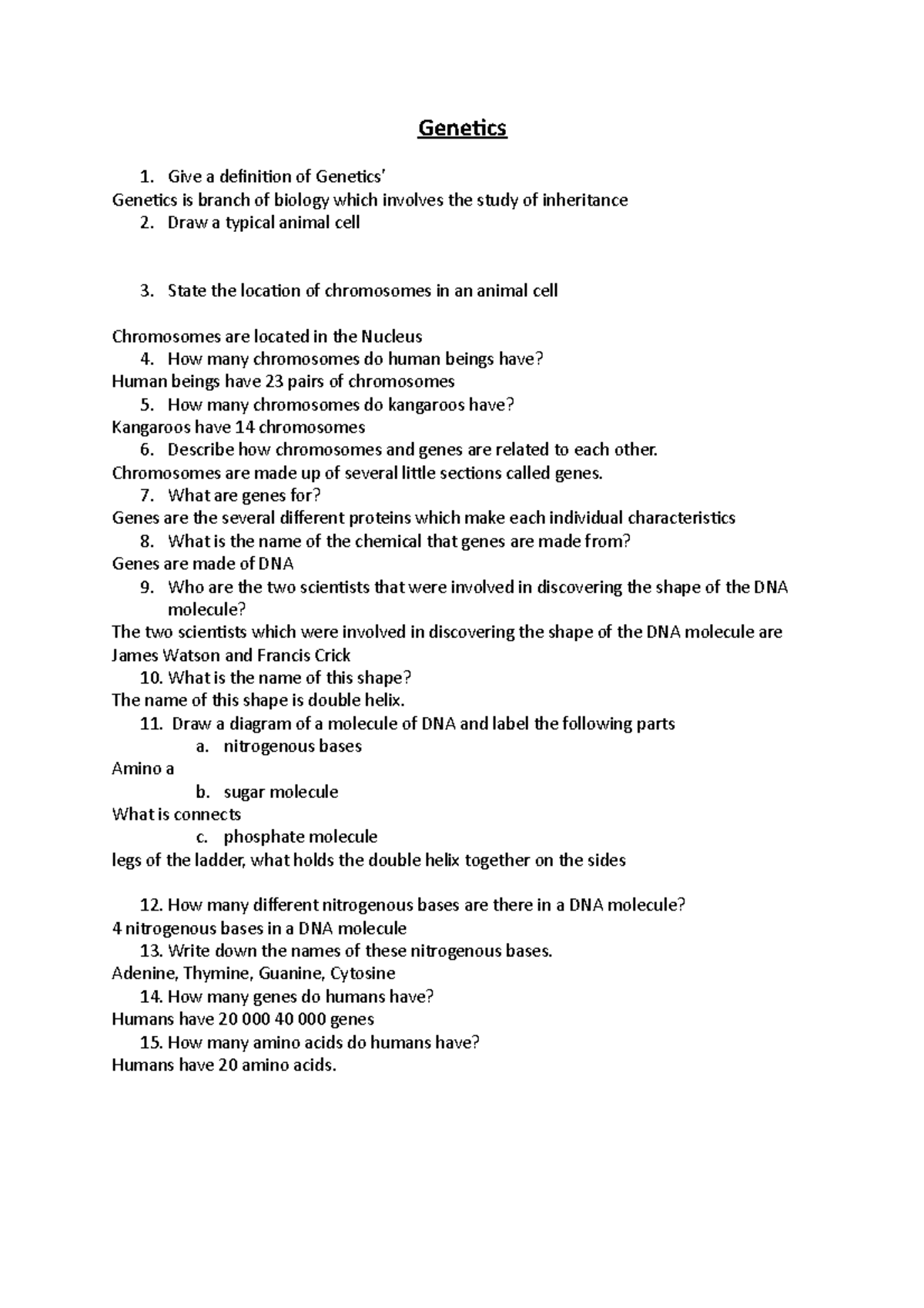 01.Genetics DNA Chromosomes worksheet - Genetics Give a definition of ...