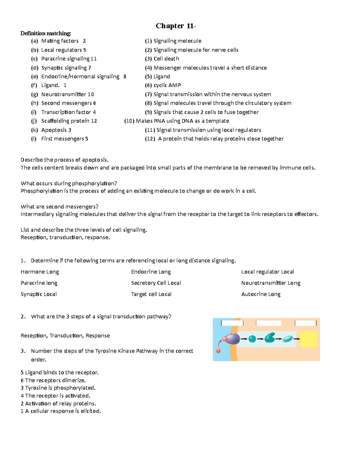 WEEK 8-HW- Chapter 11 - Chapter 11- Definition matching: (a) Mating factors 2 (1) Signaling ...
