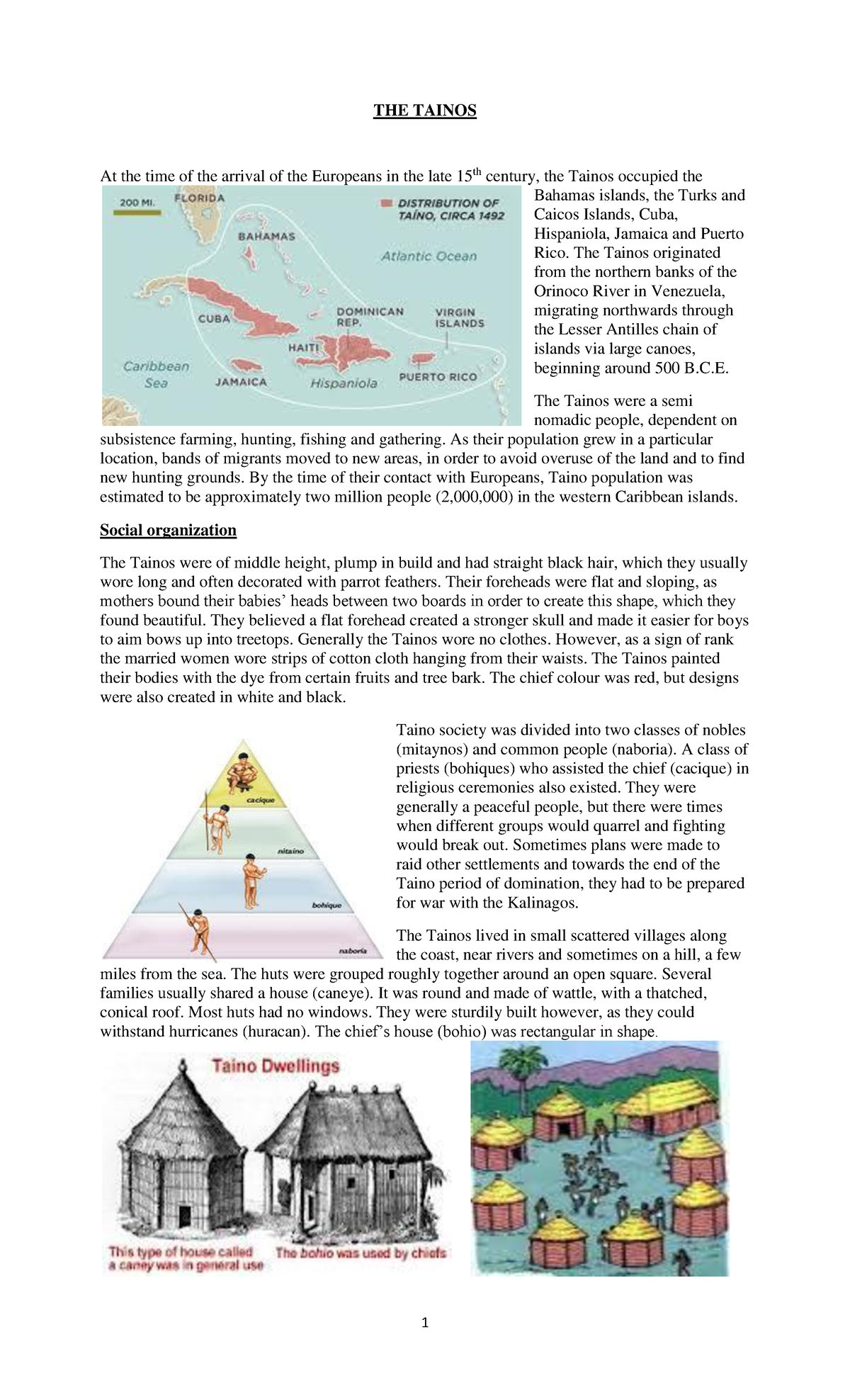 C. The Tainos - THE TAINOS At the time of the arrival of the Europeans ...
