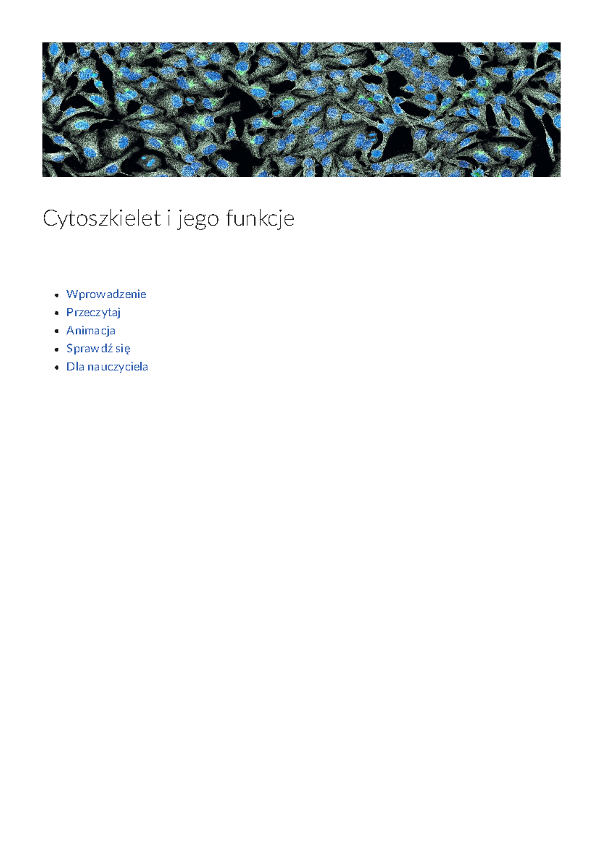 Cytoszkielet i jego funkcje - Cytoszkielet i jego funkcje Wprowadzenie ...