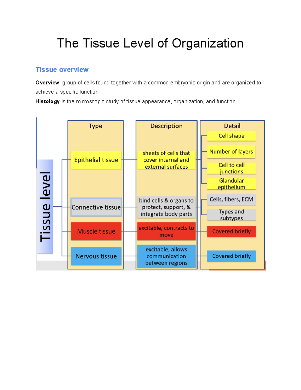 The Tissue Level of Organization - Tissue Membranes Tissue Membranes ...