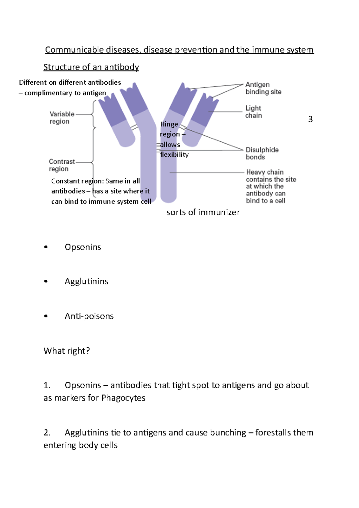 Communicable diseases - Structure of an antibodyCommunicable diseases ...