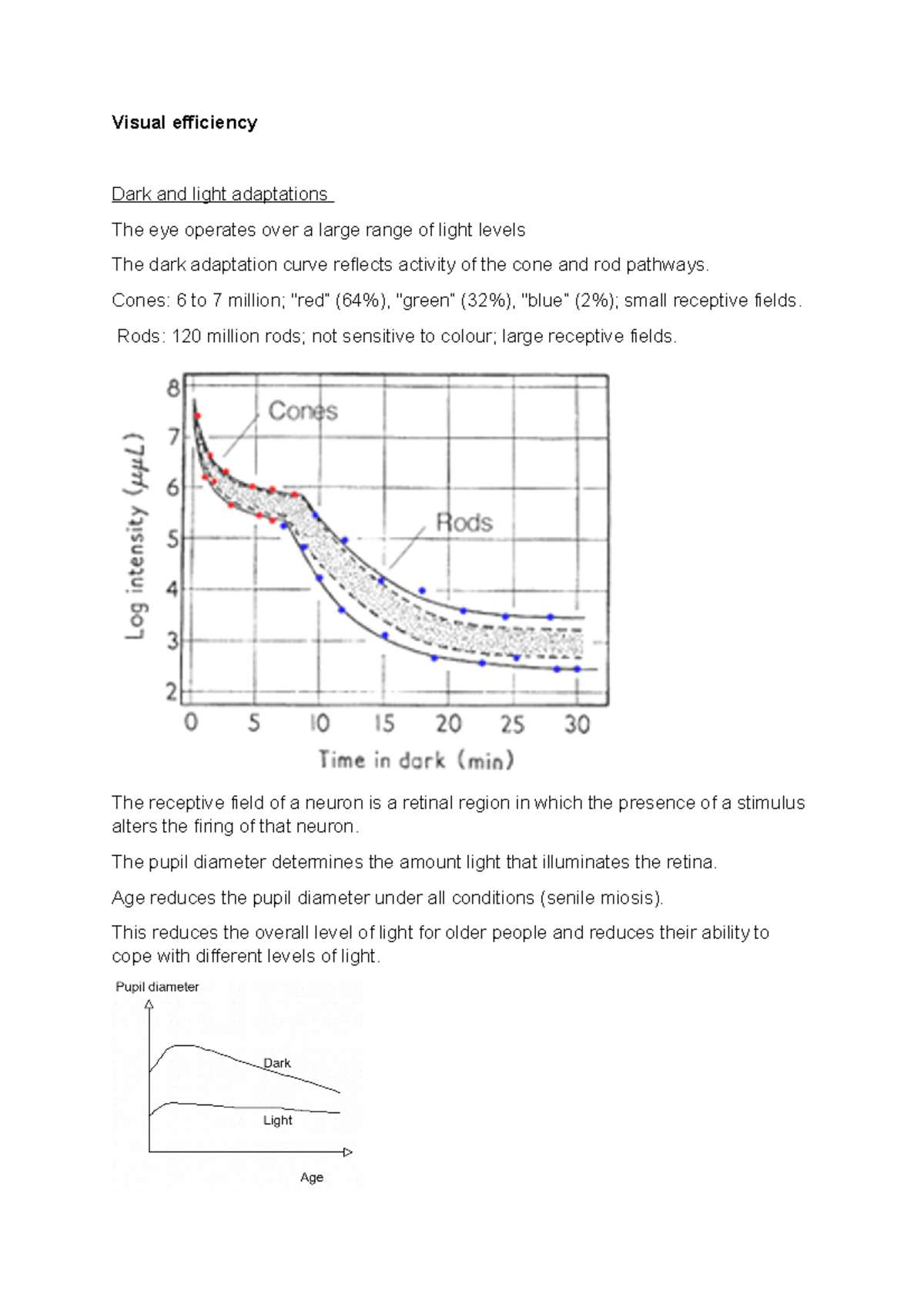 Visual efficiency - notes - Visual efficiency Dark and light ...