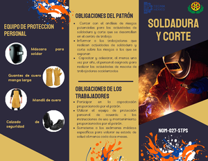 Triptico NOM 004 STPS - PROTECTORES Y DISPOSITIVOS DE SEGURIDAD OBJETIVO: Establecer las ...