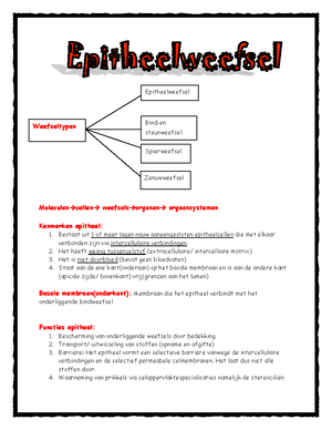 Hoofdstuk 3 epitheel - Samenvatting Functionele Histologie - Hoofdstuk ...