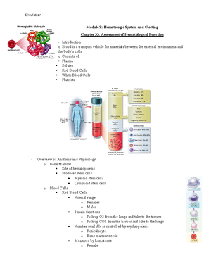 Endocrine Disorders Completed WORD - Endocrine System Disorders ...