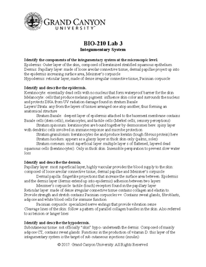 Anatomy 2022 - Module 1: INTRO TO ANATOMY LO1: Order of body levels of ...