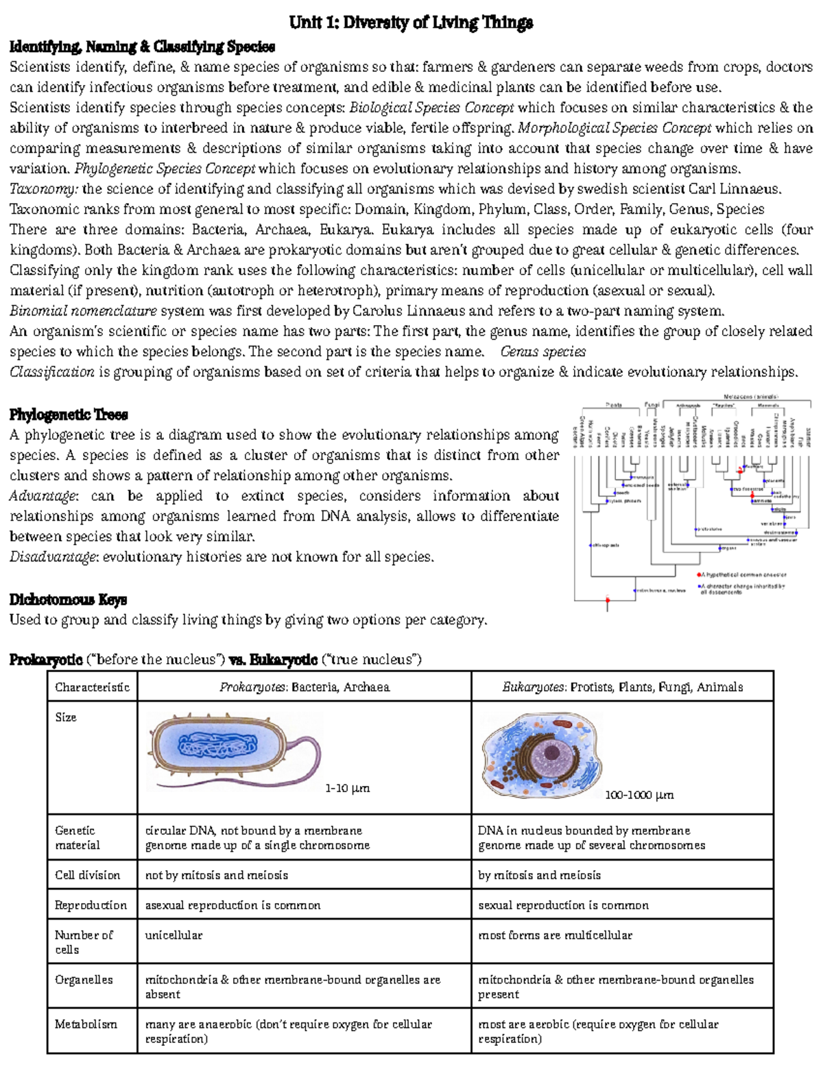 Bio Grade 11 - biology notes gr 11 - Unit 1: Diversity of Living Things ...