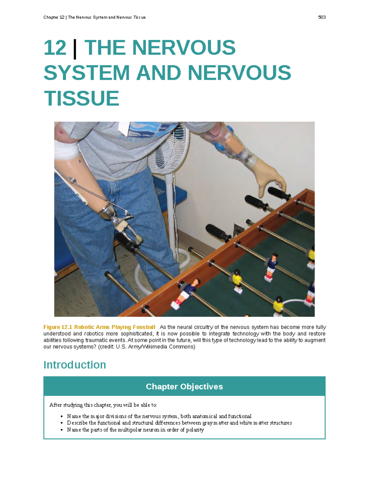 Chapter 12 - text - 12 | THE NERVOUS SYSTEM AND NERVOUS TISSUE Figure 12 Robotic Arms Playing ...