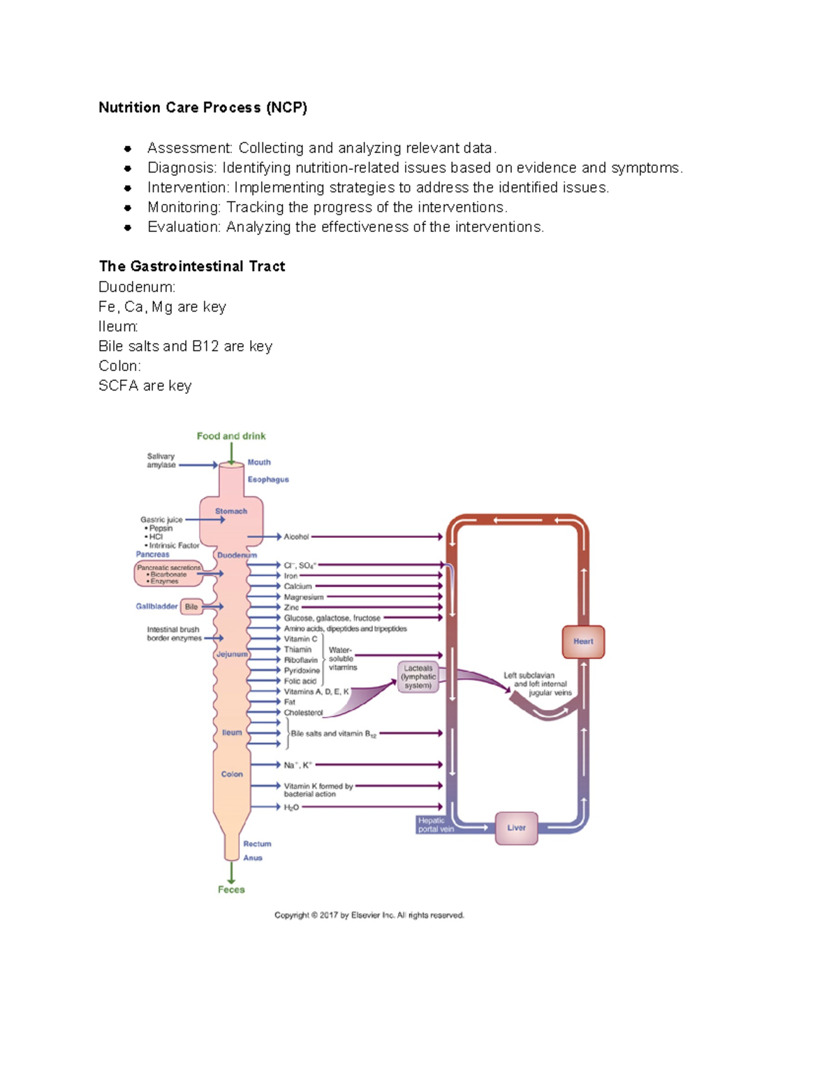 HS384 exam 1 note - Nutrition Care Process (NCP) Assessment: Collecting ...