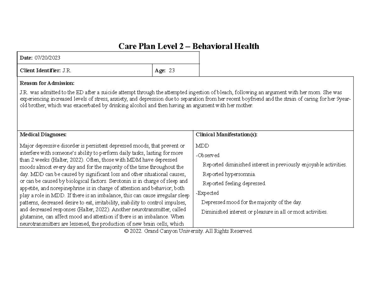 Mental Health-Care Plan 1 - Care Plan Level 2 – Behavioral Health Date ...