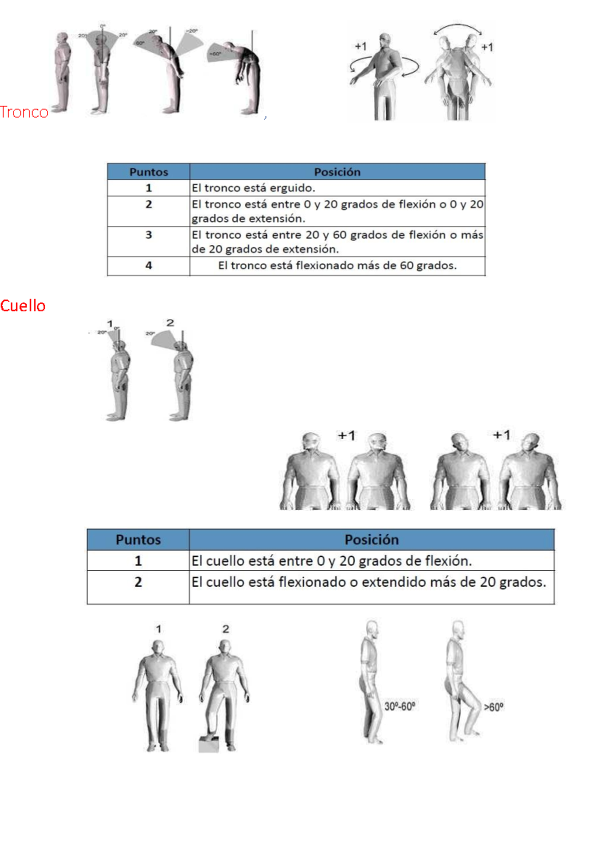 REBA - Posicion y puntaje reba - Ergonomía y Estudio del Trabajo ...