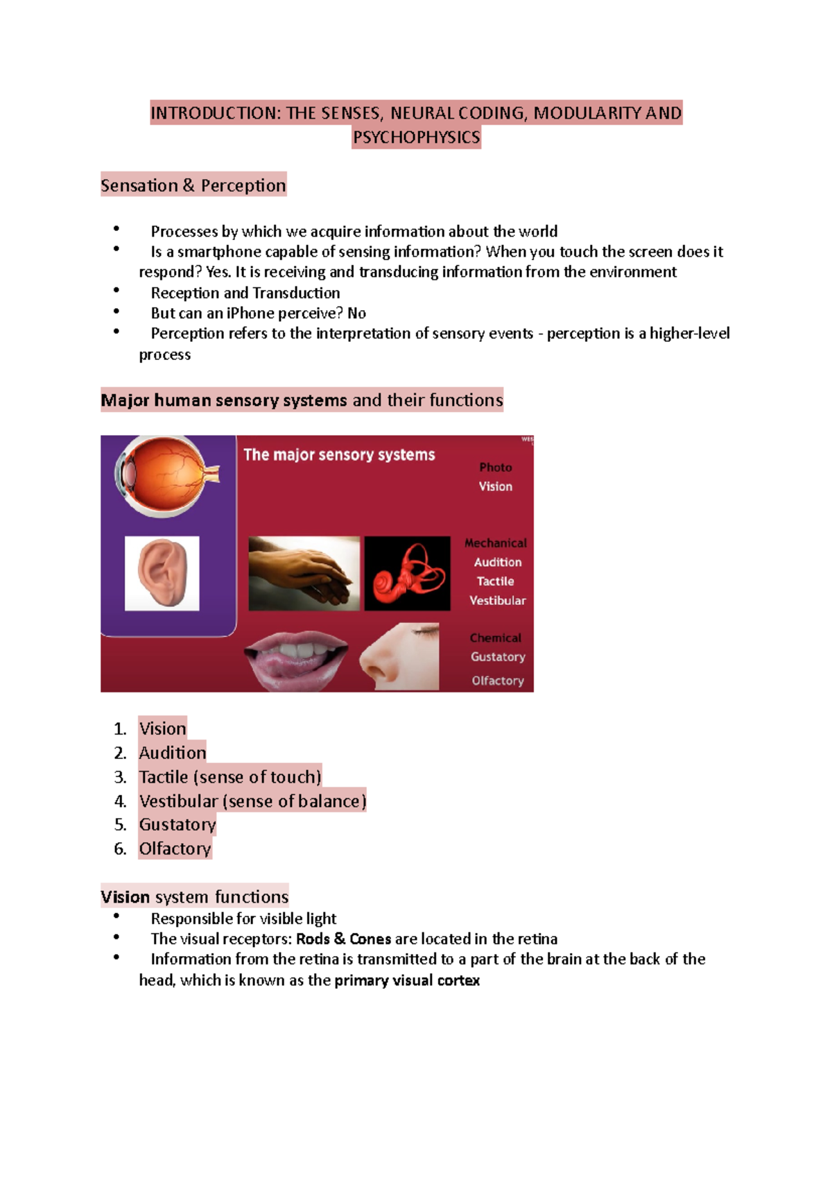 Exam notes for perception - INTRODUCTION: THE SENSES, NEURAL CODING ...