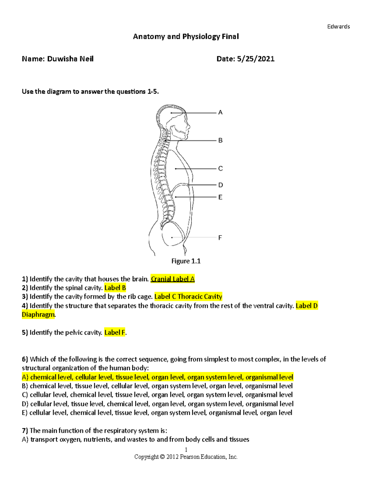 Anatomy 1 Final Answer Sheet - Studocu