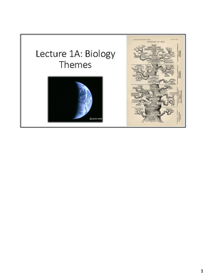 Lecture 2A - Basic Chemistry 2 per page - Lecture 2A – Basic Chemistry ...