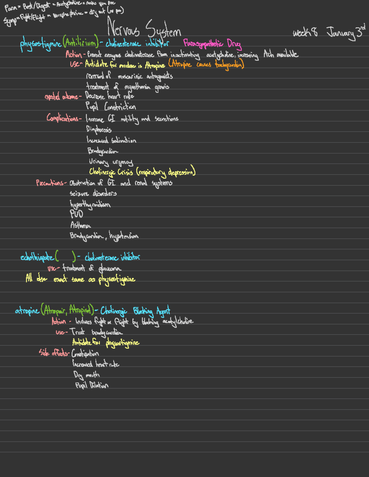 lecture note week 8 - Para= Rest / Digest= Acetycholine: Make you pee ...