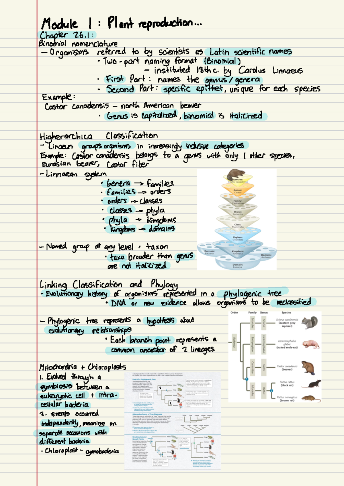 BIOL 1050 Revised - Week 1 Textbook Notes - Module 1 : Plant ...