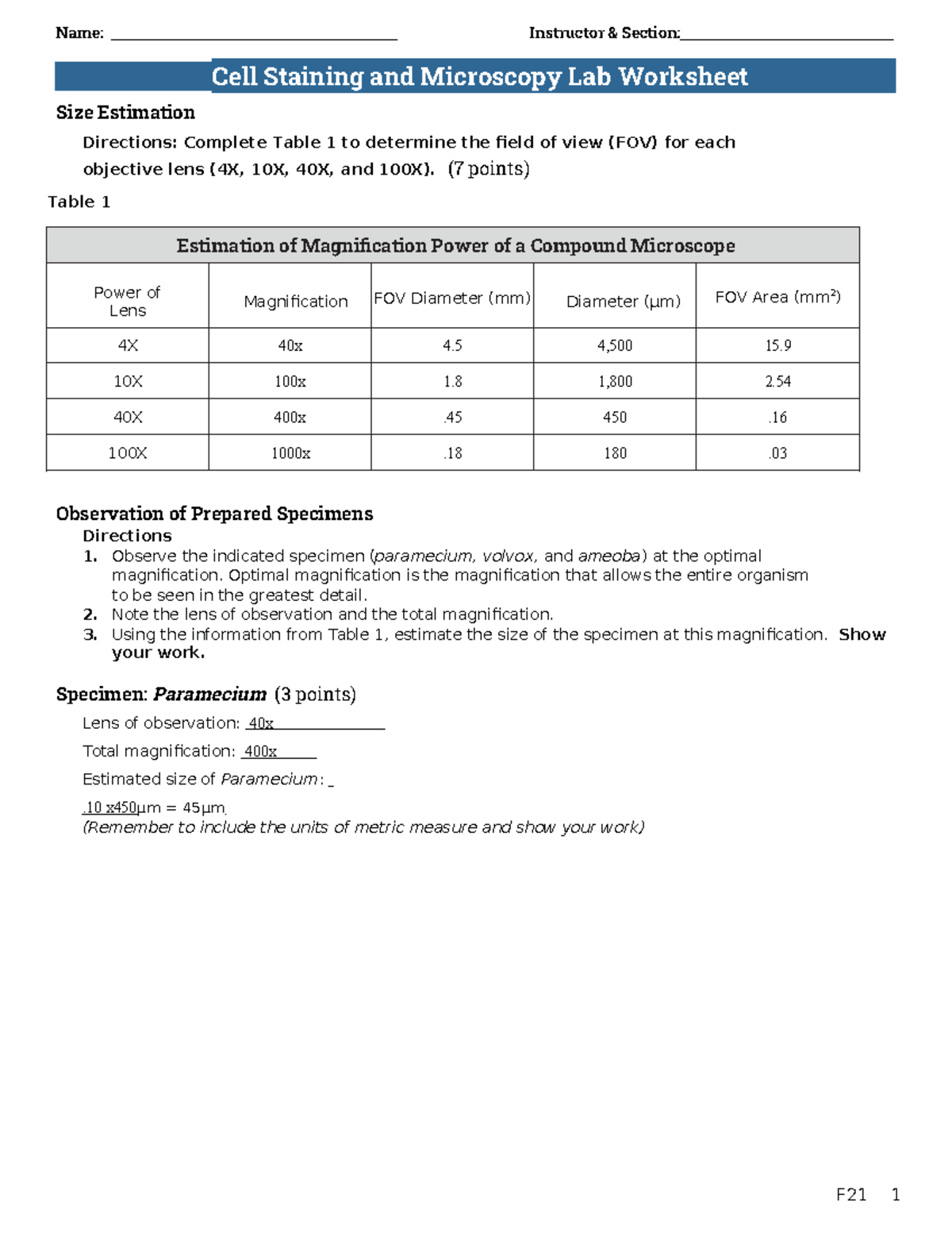 Cell Staining and Microscopy Worksheet - Cell Staining and Microscopy ...