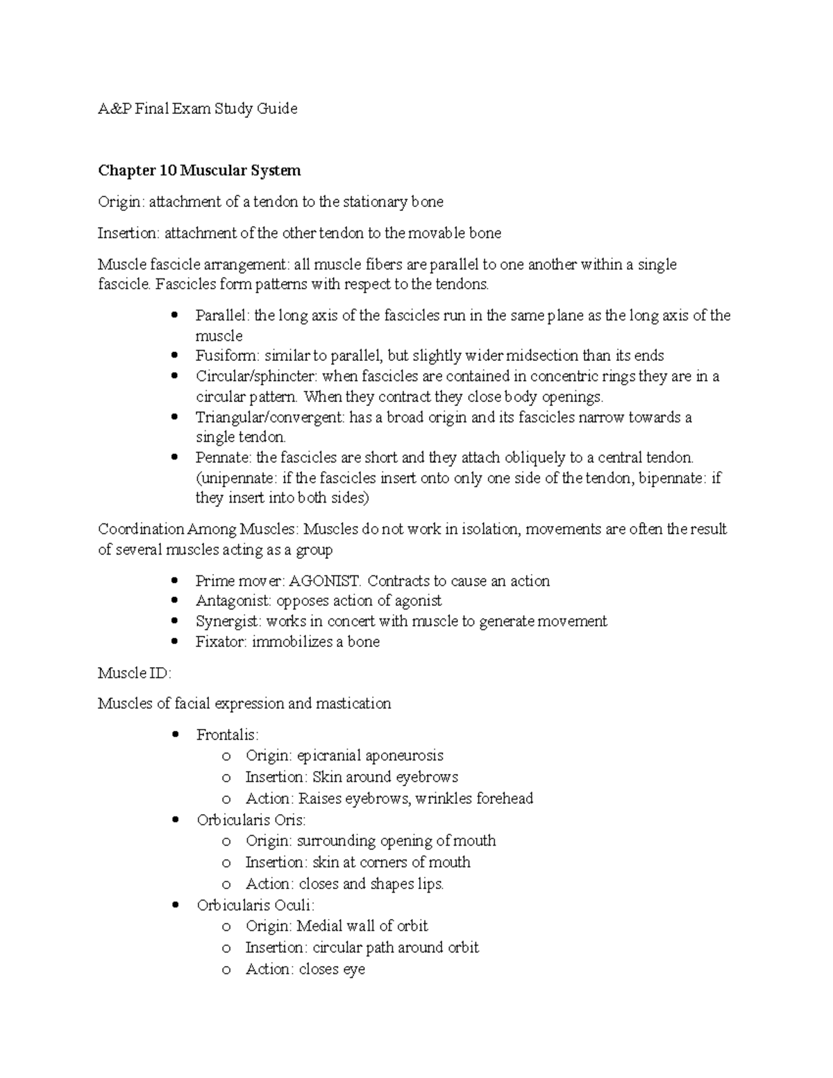 Anatomy final - A&P Final Exam Study Guide Chapter 10 Muscular System ...