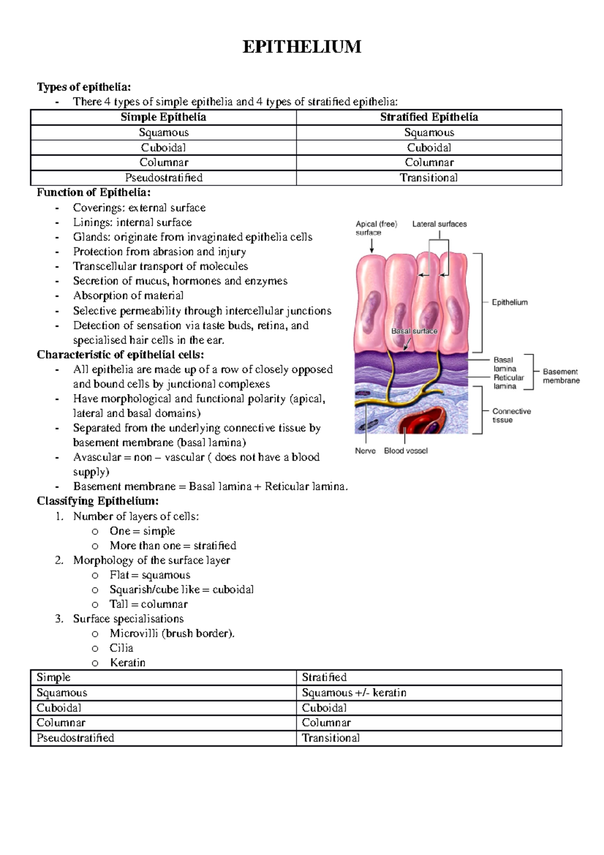 91500 Histology lecture 2: Epithelium notes - EPITHELIUM Types of ...
