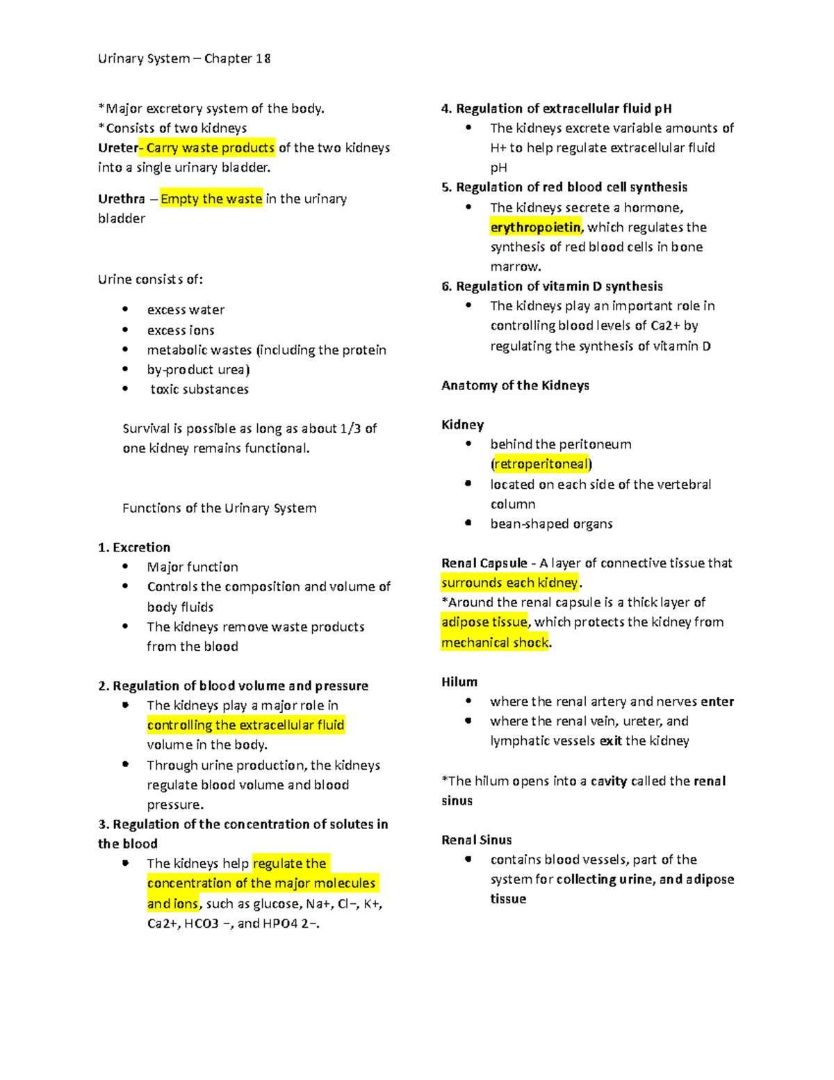 Urinary tract physiology - Urinary System – Chapter 18 *Major excretory ...