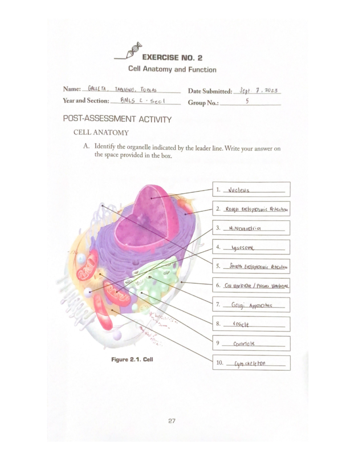 The Cell and its Organelles - Medical Laboratory Science - Studocu