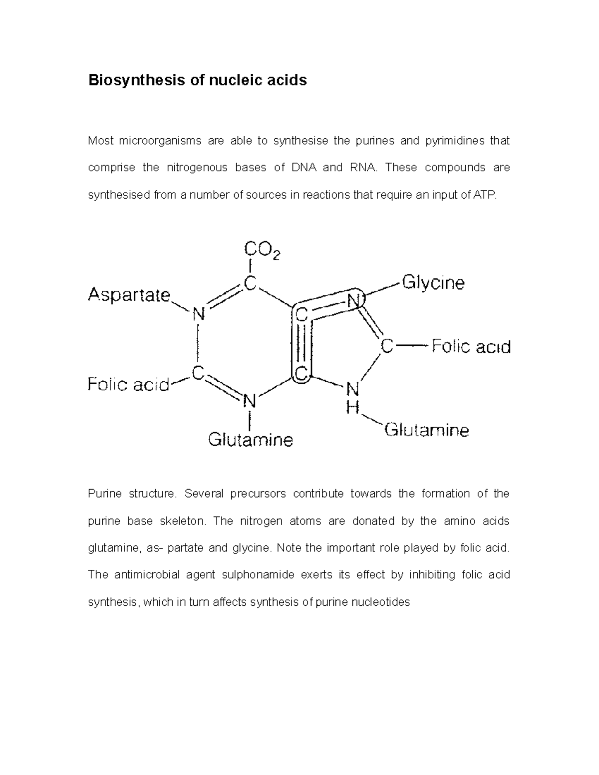 Biosynthesis of nucleic acids - These compounds are synthesised from a ...