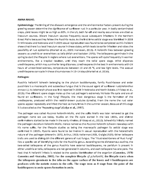AMNA Riasat LAB 5 - Assignments and lab works - AMNA RIASAT Plant ...