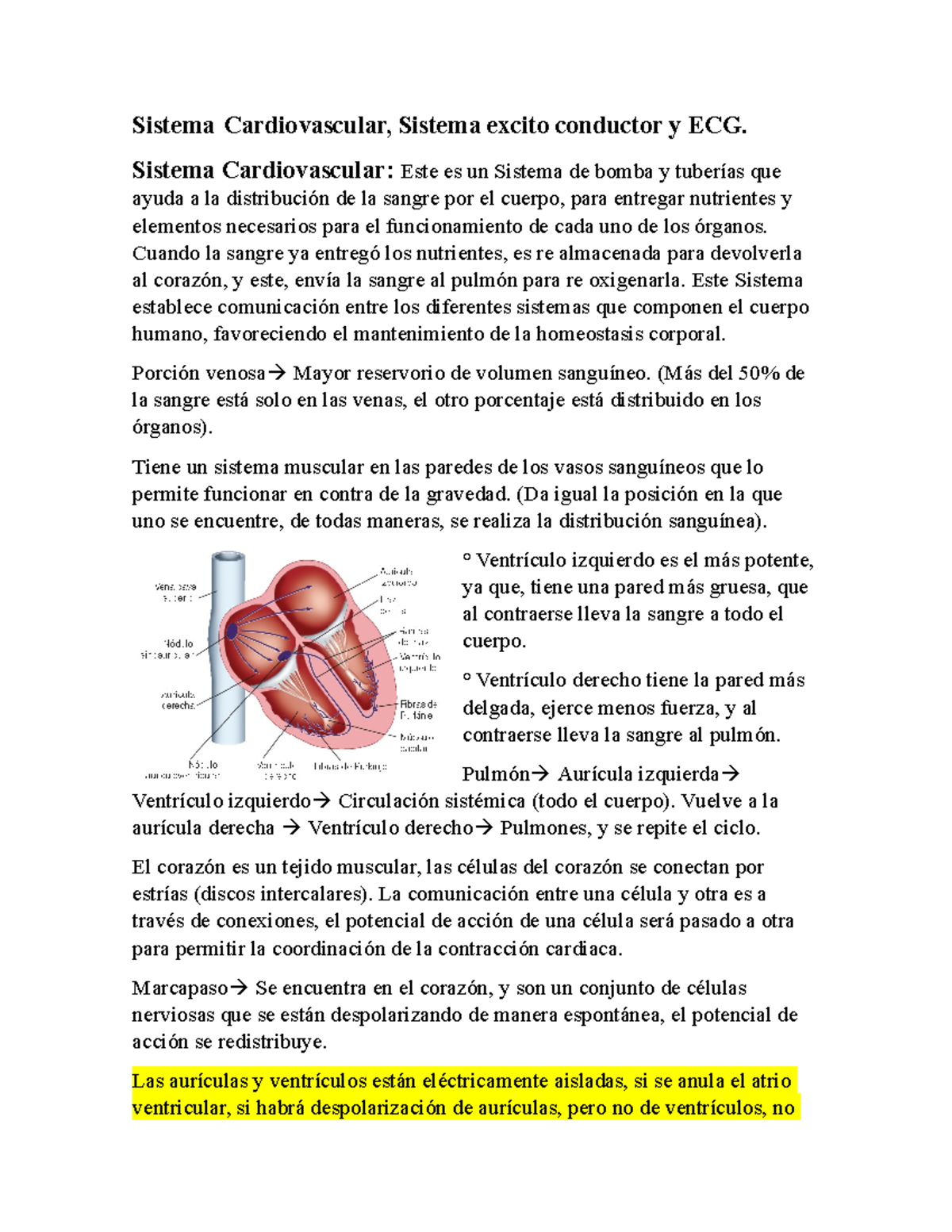 Solemne 3 Fisio - apuntes - Sistema Cardiovascular, Sistema excito ...