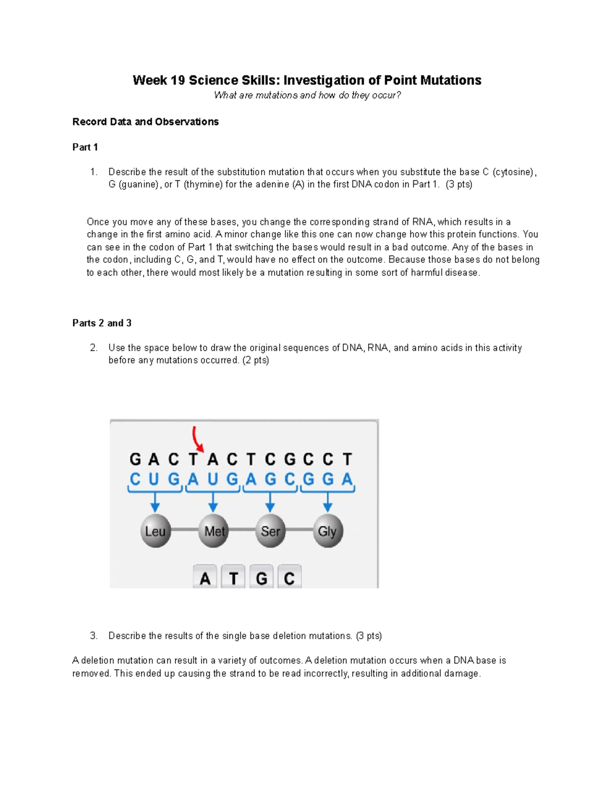 Science Skills Point Mutations Dropbox - Week 19 Science Skills ...