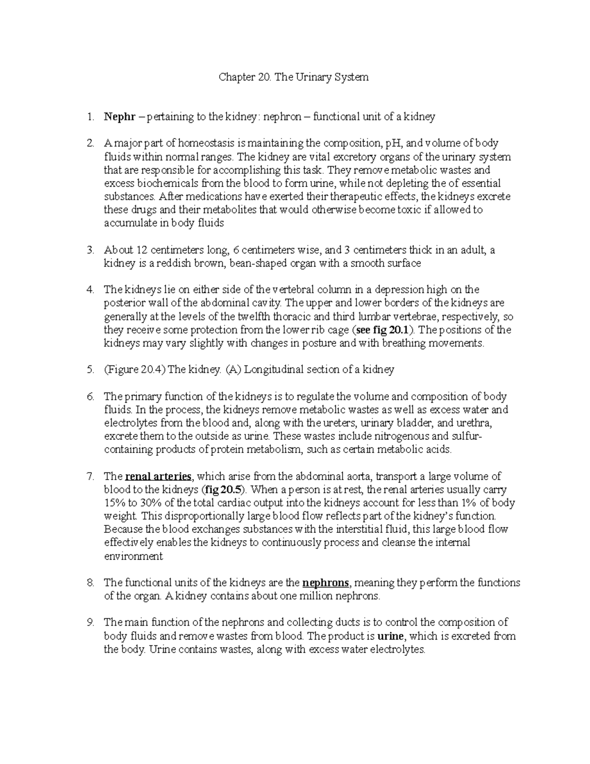 Chapter 20 The Urinary System - Chapter 20. The Urinary System Nephr ...