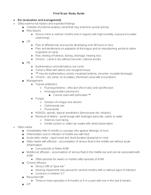 DNP Project Paper Guidelines c notes - DNP Project Paper Guidelines ...