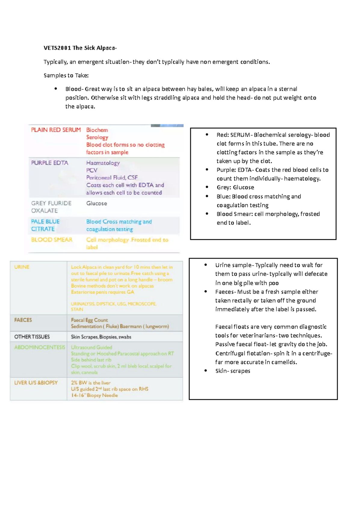 VETS2001 The Sick Alpaca - VETS2001 The Sick Alpaca- Typically, an emergent situation- they don ...