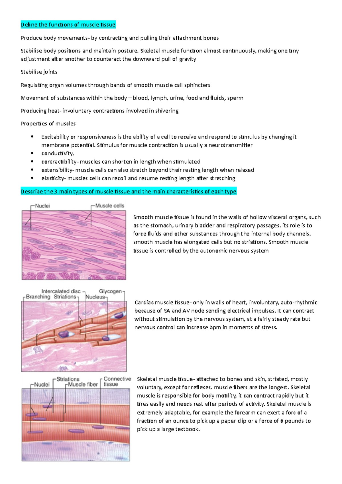 HLTH1000 Muscular System - Define the functions of muscle tissue ...