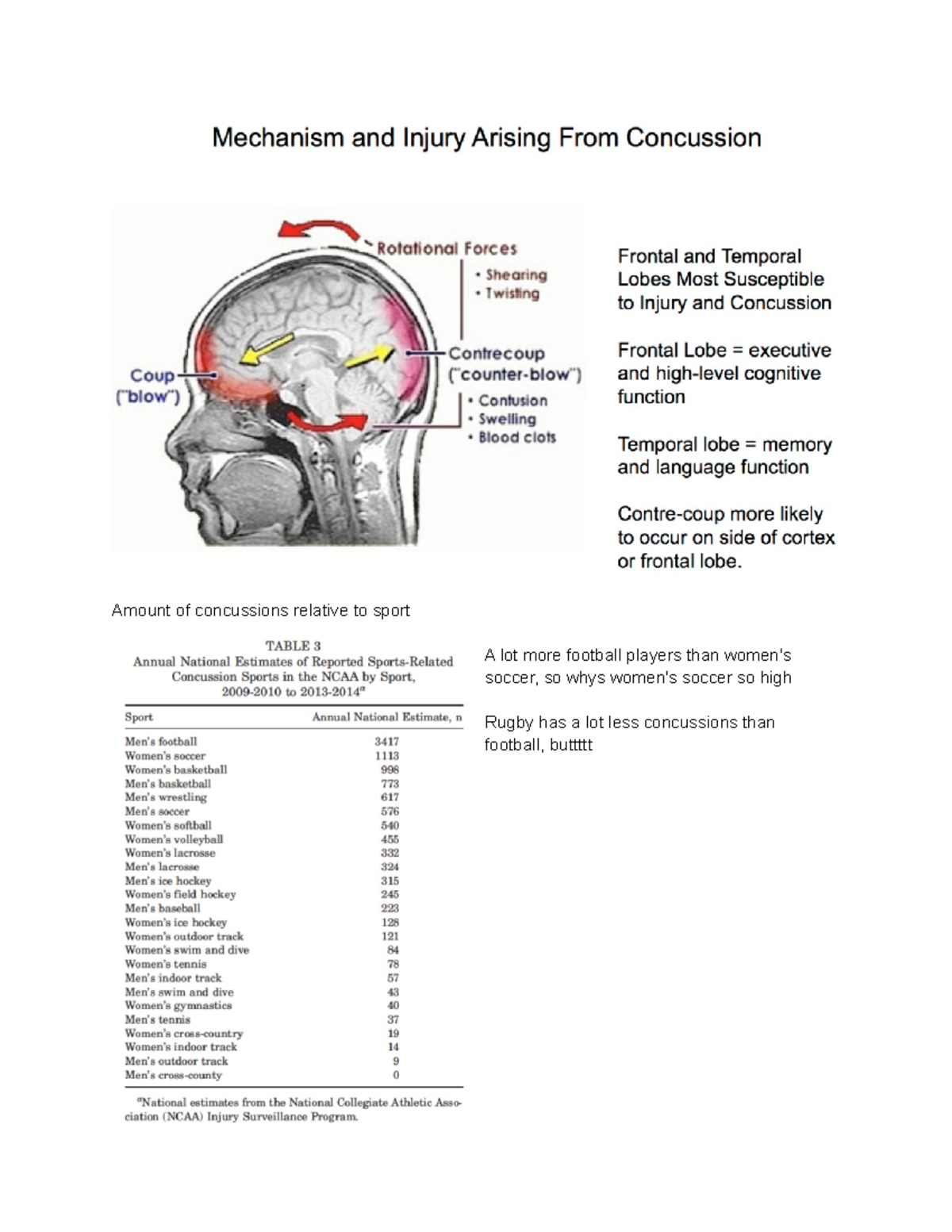 Concussions Lec 2 - Lecture notes - Amount of concussions relative to ...