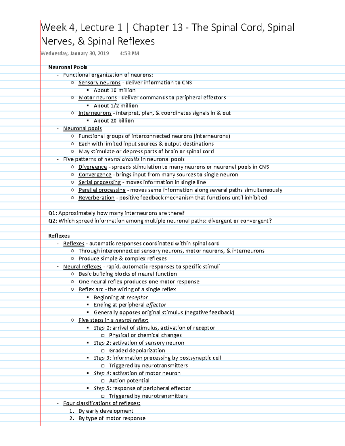 Chapter 13 - The Spinal Cord, Spinal Nerves, & Spinal Reflexes ...