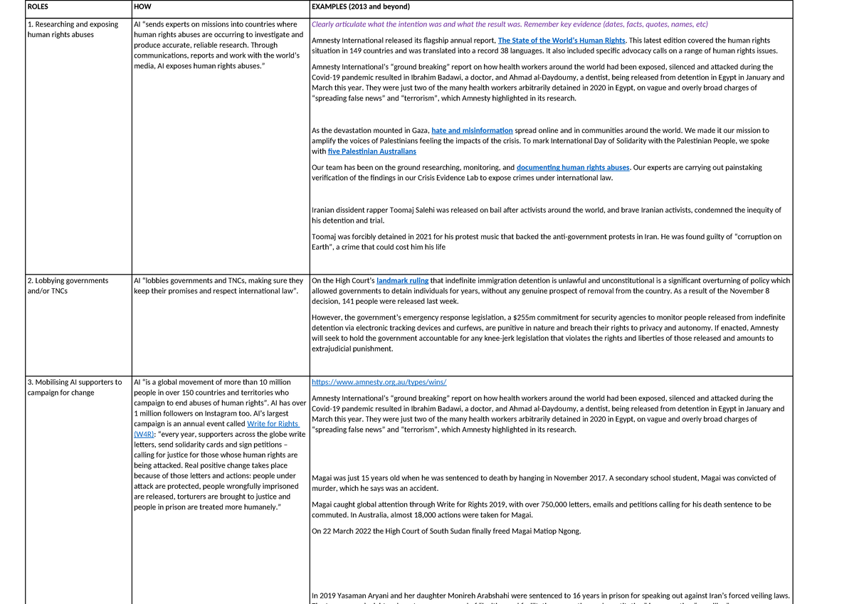 1. Amnesty roles - ROLES HOW EXAMPLES (2013 and beyond) Researching and ...
