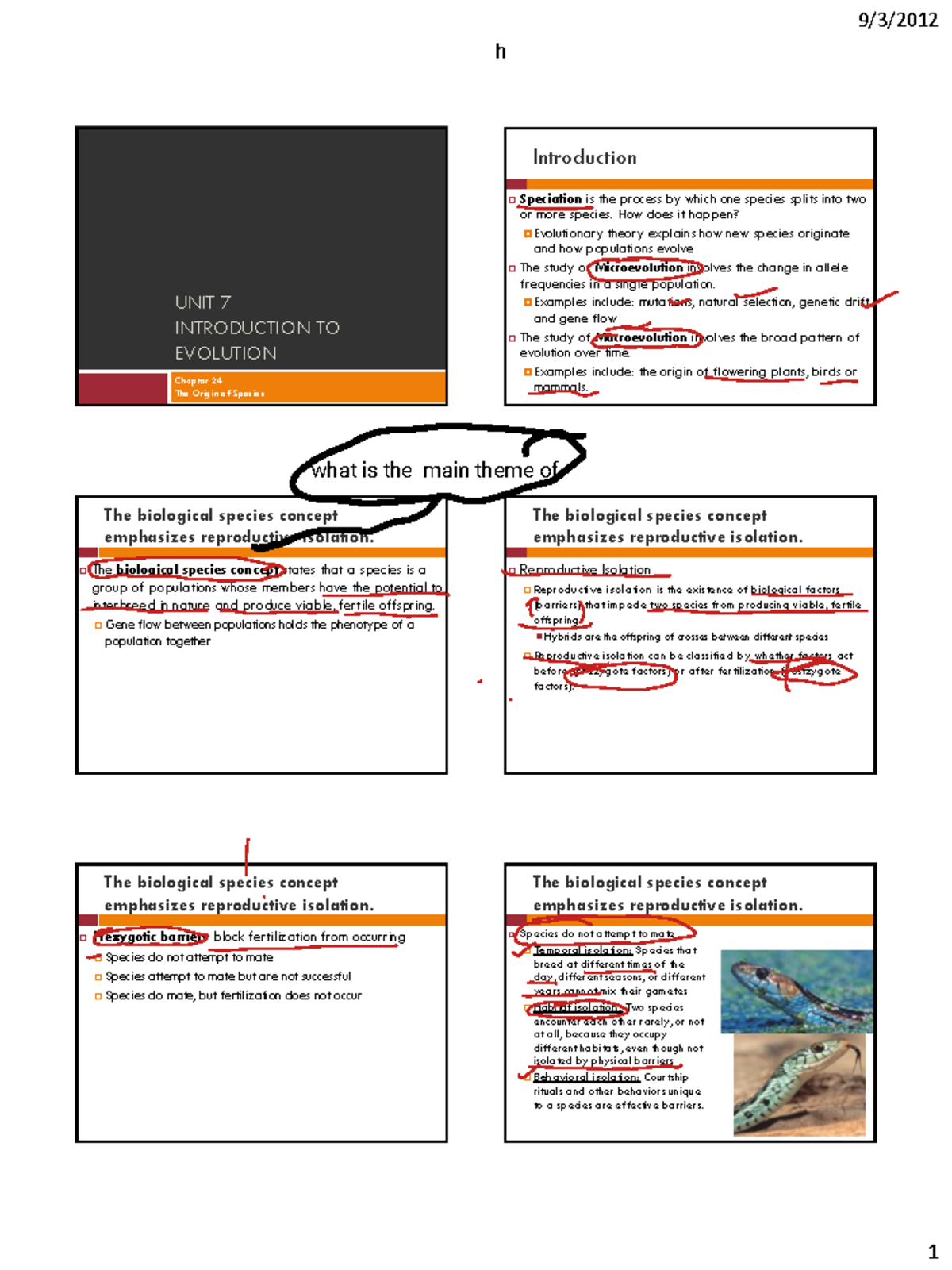 Chapter 24 Notes - UNIT 7 INTRODUCTION TO EVOLUTION Chapter 24 The ...