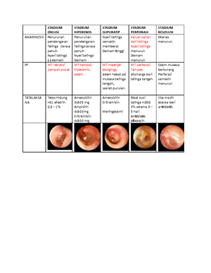 Kala 3, pph - kala 3, pph - KALA III LANGKAH-LANGKAH KALA III: setelah melahirkan plasenta: o ...