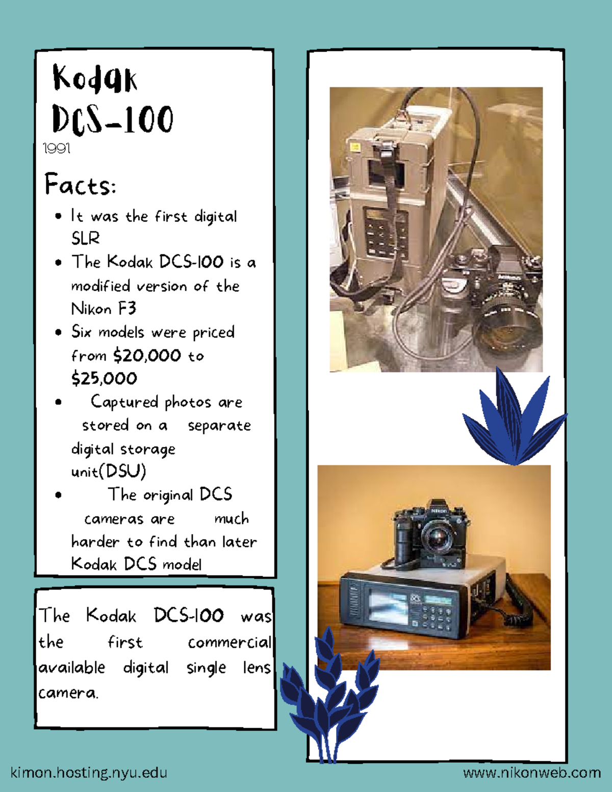 Tropical Weekly Announcement Presentation - 1991 Kodak DCS- It was the ...