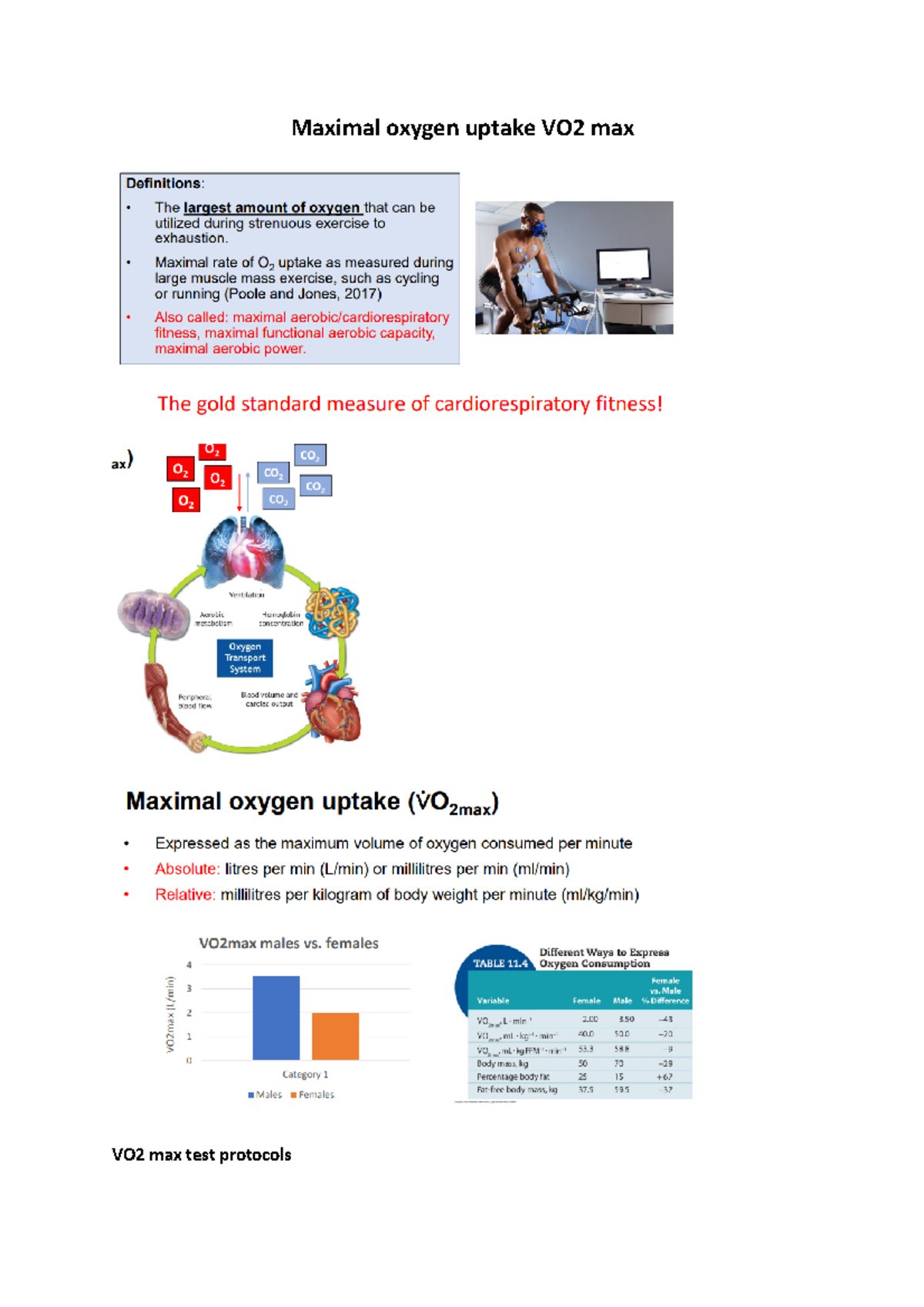 Vo2 max, metabolism and lactate - Maximal oxygen uptake VO2 max VO2 max ...