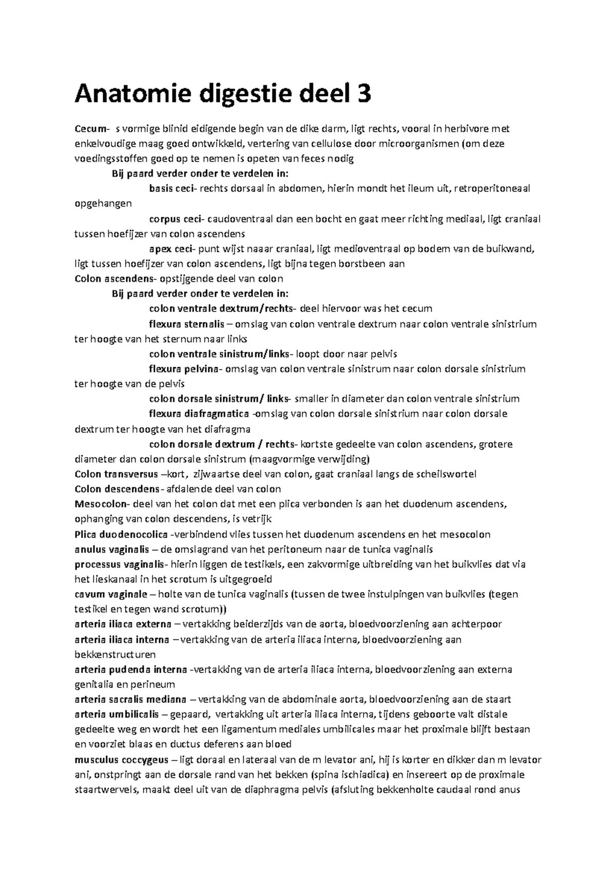 Anatomie digestie deel 3 - levator ani en m. coccygeus ductus deferens ...