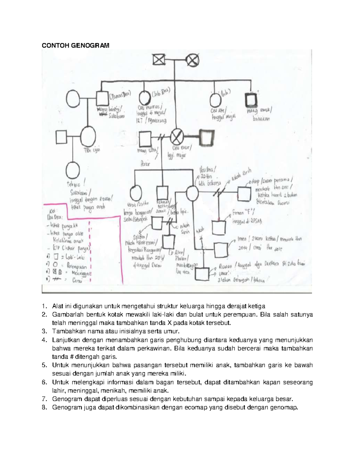 Materi - Contoh Bentuk Tools Assesment - CONTOH GENOGRAM Alat ini ...