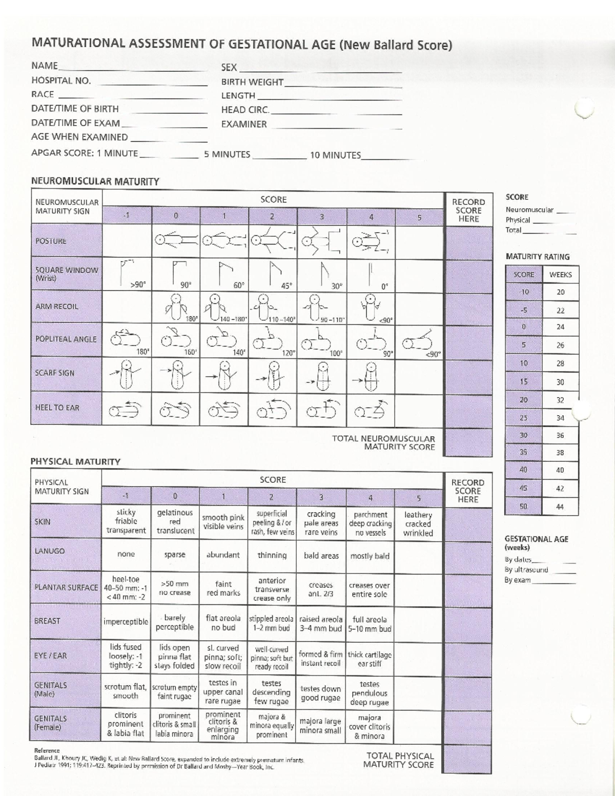 Ballard Scoresheet graph - NURS 3550 - TAMUCC - Studocu