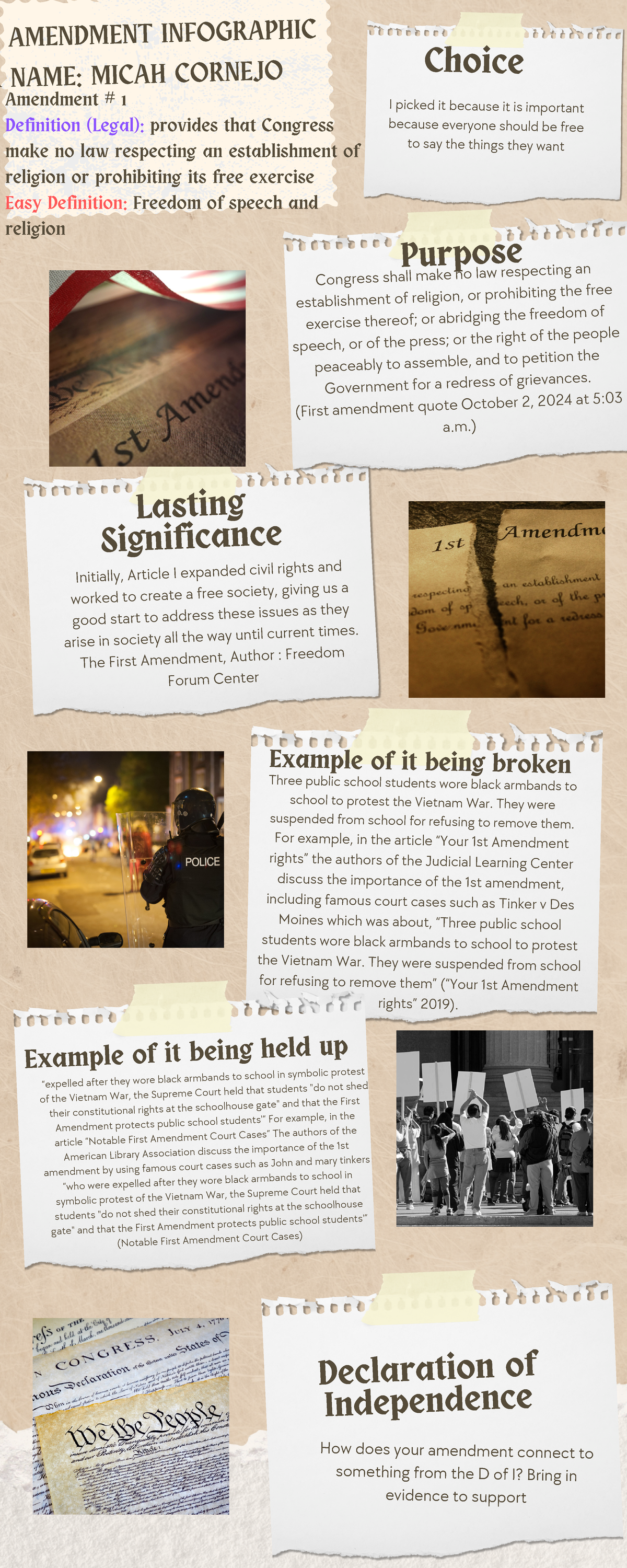 Copy of Amendment Infographic - AMENDMENT INFOGRAPHIC Initially ...